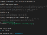 Javascript Create React App Error Cannot Find Module React Scripts
