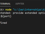 Javascript When I Use Navigator Language It Gives Undefined Nodejs