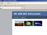 Placing Images Programatically On Page Asp Net Web Application C