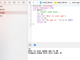 How To Use Xcode For C Programming Verfollow
