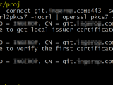 Git Ssl Certificate Problem Unable To Get Local Issuer Certificate