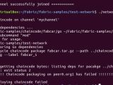 Hyperledger Fabric Successfully Opened Test Network But Deploying