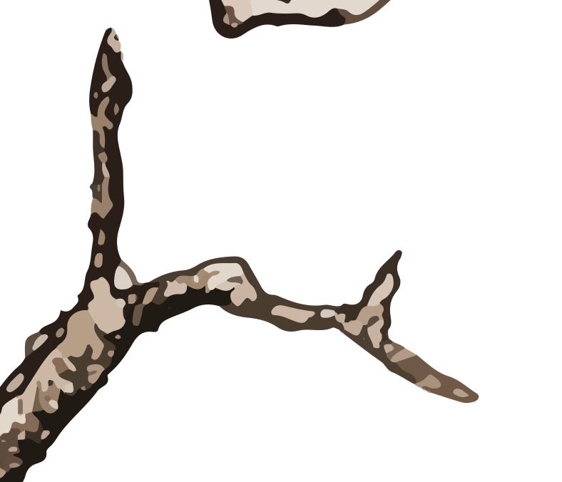 C How Does Graphicspath Flatten Affects To The Drawing Performance - Minimal Illustrations - Gorgeous Full HD Collection