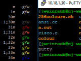 Colours Appear Incorrect In Linux Terminal When Using Putty Unix