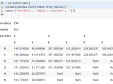 Python Creating A Multiindex Pandas Dataframe With Columns From Excel