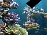 Android Libgdx Live Wallpaper Not Displaying Textures Stack Overflow