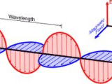 On The Shape Of Magnetic And Electric Fields In An Electromagnetic Wave