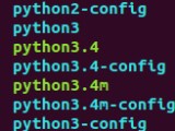 Could Not Find Python Interpreter Opencv Cmake Error Stack Overflow