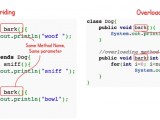 Oop Java Overloading And Overriding Stack Overflow