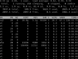 High Memory Usage On Sql Server Running On Linux Database