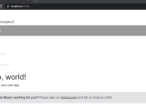 C Webassembly Blazor Net 6 0 Not Retrieving Mudblazor Styling