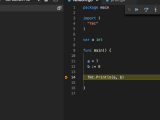 Go How To See Global Variables In Visual Studio Code While Debugging