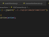 Javascript How To Catch Prisma S Interactive Transactions Errors