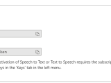 Azure 404resource Not Found Postman Post Request For Speech To Text
