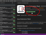 Visual Studio Code Configuring Java Extension Pack In Remote Wsl On