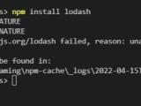 Node Js Npm Install Lodash Issuse Stack Overflow