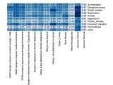 Plot Creating A Heatmap Colored Table In Python Stack Overflow