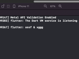Flutter App Won T Execute Http Methods In Ios Simulator Flutter Fixes