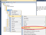 Microsoft Sql Server Tutorial How To Generate Migration Scripts