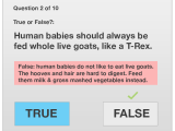 Education How To Display Interactive True False Questions For