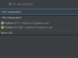 Pycharm Asks For Python Interpreter Every Time Project Is Loaded