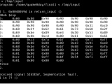 Difficulties Injecting Shellcode With Buffer Overflow Stack Overflow