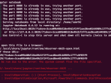 Bash Trouble Launching Jupyter Notebook Browser From Wsl Ubuntu