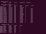 How To List Processes Attached To A Shared Memory Segment In Linux