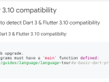 Flutter Package Pub Get Encounters Invoked Dart Programs Must Have A