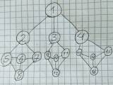Complexity Theory Greedy Algorithm For Vertex Cover Computer