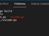 Debugging Debug A Go Application On Visual Studio Code Stack Overflow