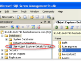 Ssms Sql Server Management Studio See Object Explorer Details For