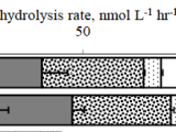 R Stacked Barplot With Errorbars Using Ggplot2 Stack Overflow