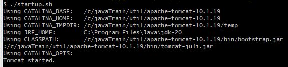 Java Tomcat Not Starting Stack Overflow - Geometric Photos - Modern 4K Collection