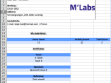 Php Converting From Excel To Pdf In Phpspreadsheet Without Ruining