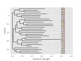 Python Biopython Phylogenetic Tree Replace Branch Tip Labels By