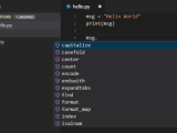 Visual Studio Code Python Gostgiga