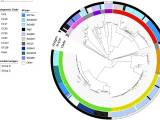 Bioinformatics How To Create A Circos Plot Stack Overflow