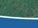 Curved Border With Stroke In Pure Css Stack Overflow