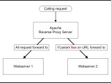 How To Reverse On Two Conditions Under An Apache Reverse Proxy Stack