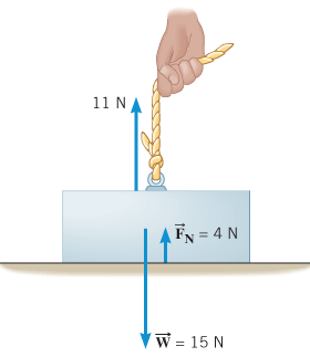 Elevator Physics Forces Apparent Weight Acceleration - Colorful Design Collection - Desktop Quality
