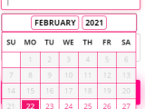 Jquery Datepicker Not Showing Year And Month Dropdown In Javascript