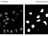 Seeds Segmentation In Opencv Python Stack Overflow