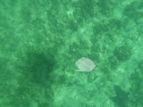Png Transparency With Opencv In Python Stack Overflow