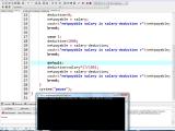 Simple Program C Switch Statement To Find The Employee Salaries