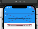 Flutter Exception Caught By Image Resource Service Invalid Argument S