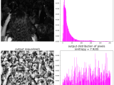 Image Local Histogram Equalization In Matlab Python Stack Overflow