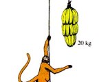 Newtonian Mechanics Monkey And Banana Problem Physics Stack Exchange