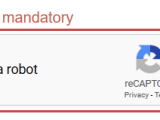 Javascript How To Remove A Validation Error Beside Captcha If The