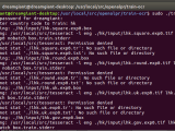 Ubuntu Permission Denied While Running Python Script Unix Linux